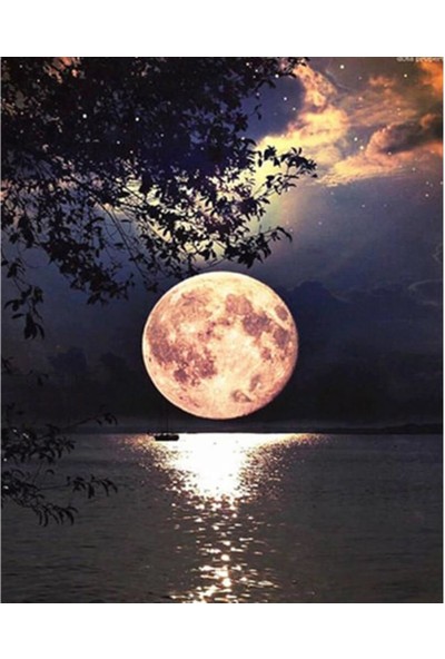 Kendin Yap Hobi Dolunay Sayılarla Boyama Seti