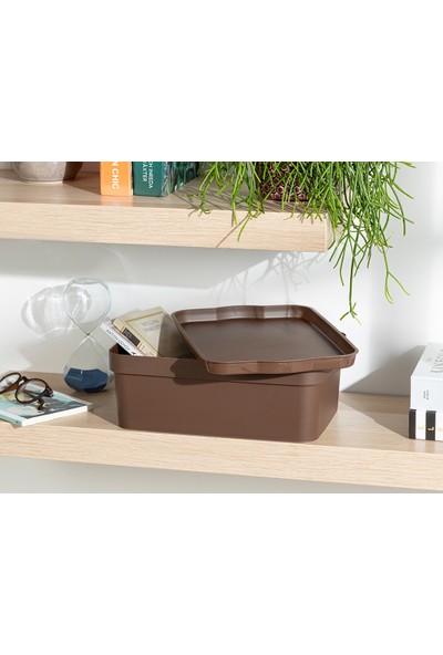 English Home Basic Saklama Kutusu 32X11X16 cm Kahve