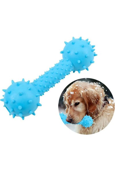 Mixpet Dikenli Dumbell Diş Kaşıyıcı Köpek Oyuncağı 5X14 cm
