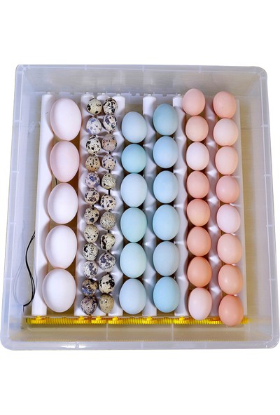 Beren Makine 60'lık One Touch Kuluçka Makinesi