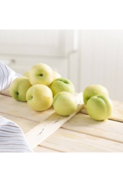 Anamur Naturel Tüplü Aşılı Yarı Bodur Erkenci Beyaz Nektarin Fidanı