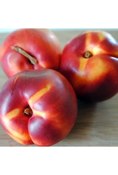 Anamur Naturel Tüplü Çok Sulu Meyvesi Olan Yarma Venüs Nektarin Fidanı Anamur Naturel Tüplü Çok Sulu Meyvesi Olan Yarma Venüs Nektarin Fidanı