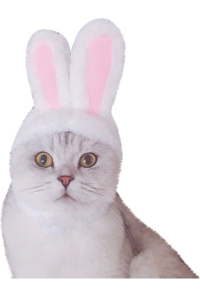 Mixpet Tavşan Kulaklı Kedi Köpek Şapkası 30-34 cm