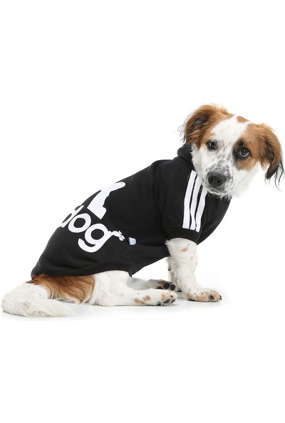 Küçük Irk Adidog Siyah Kedi -Köpek Sweati (1 kg-10 kg Arası) Siyah Xxl Küçük Irk Adidog Siyah Kedi -Köpek Sweati (1 kg-10 kg Arası) Siyah Xxl