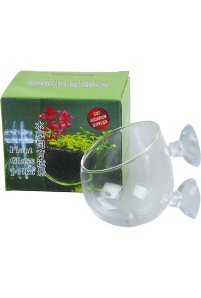 Aqua Forest Plant Glass Canlı Bitki Kabı