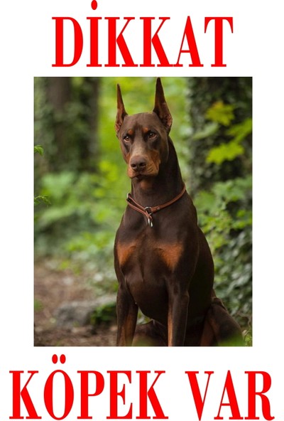 The Passage Dikkat Köpek Var Uyarı Levhası Kızıl Doberman