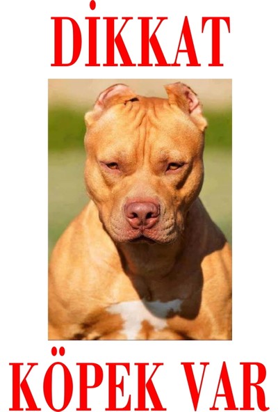 The Passage Dikkat Köpek Var Uyarı Levhası Kahverengi Pitbull