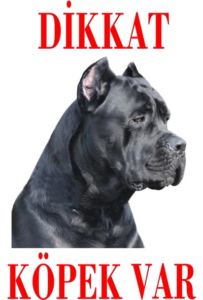 The Passage Dikkat Köpek Var Uyarı Levhası Renkli Cane Corso-2