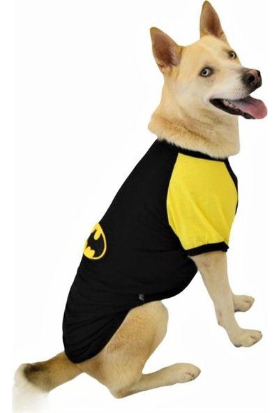 Dogi & Dog Dogi&dog Büyük Irk Bat Dog Yazlık Köpek TSHIRT(11KG-45KG) 8xl