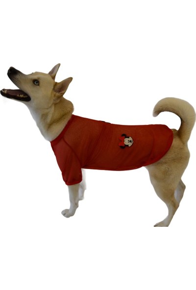 Dogi & Dog Dogi&dog Büyük Irk Mouse Yazlık Köpek TSHIRT(11KG-45KG) 9xl Dogi & Dog Dogi&dog Büyük Irk Mouse Yazlık Köpek TSHIRT(11KG-45KG) 9xl