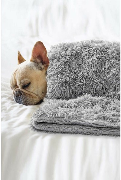 Bundera Peluş Kedi-Köpek Yatağı Battaniyesi Evcil Kedi Minderi Yuvası Evi Kulübesi Matı Örtüsü 60 x 90 cm
