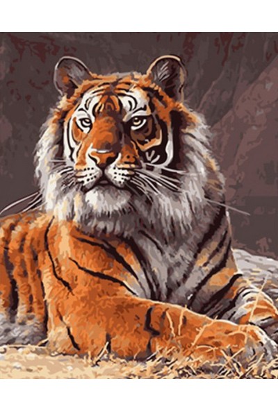 Lily Hobbyland Güçlü Kaplan Sayılarla Boyama Çerçeveli Tuval Seti 50 x 65 cm Lily Hobbyland Güçlü Kaplan Sayılarla Boyama Çerçeveli Tuval Seti 50 x 65 cm