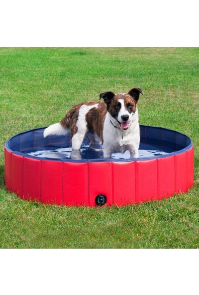 Tenoci Katlanabilir Köpek Havuzu (Yurt Dışından)