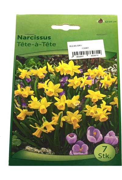 Palmiye Narcissus - Nergis Soğanı Palmiye Narcissus - Nergis Soğanı
