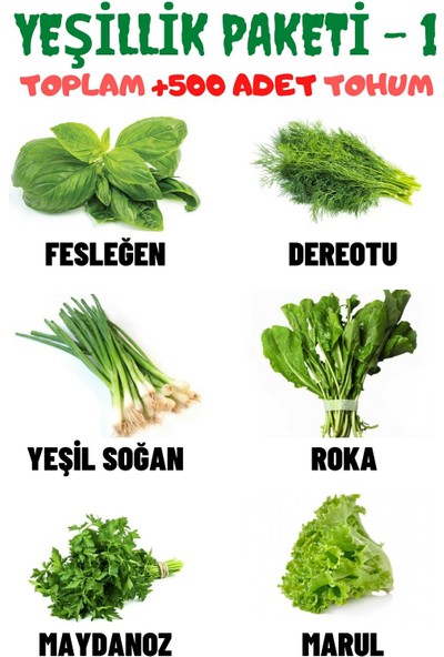 Tohum Seç Yeşillik Paketi-1 (Fesleğen, Dereotu, Yeşil Soğan, Roka, Maydanoz, Marul) Tohumları, Toplam +500 Adet Tohum