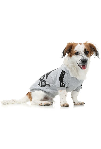 Dogi & Dog Dogi&dog Küçük Irk Gri Adidog Kedi-Köpek Sweati (1KG-10KG Arası) Dogi & Dog Dogi&dog Küçük Irk Gri Adidog Kedi-Köpek Sweati (1KG-10KG Arası)