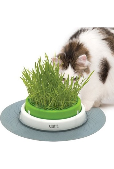 Catıt Senses 2.0 Grass Planter Kedi Çim Seti Catıt Senses 2.0 Grass Planter Kedi Çim Seti