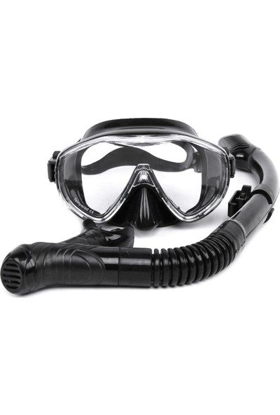 Whale Şnorkel Set Anti Sis Sualtı Tüplü Dalış (Yurt Dışından)