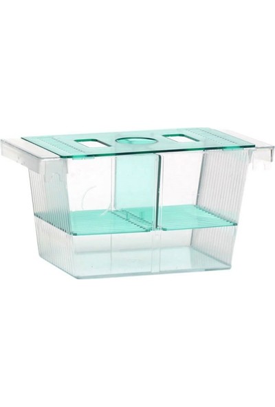 Pawin Ikili Balık Yavruluğu Pawin Ikili Balık Yavruluğu