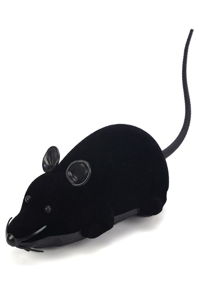 Pawin Uzaktan Kumandalı Fare Siyah Pawin Uzaktan Kumandalı Fare Siyah