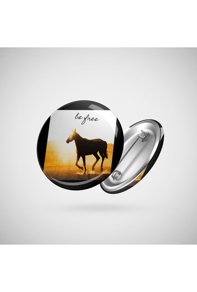 Fizello Be Free Horses Photography Rozet Fizello Be Free Horses Photography Rozet