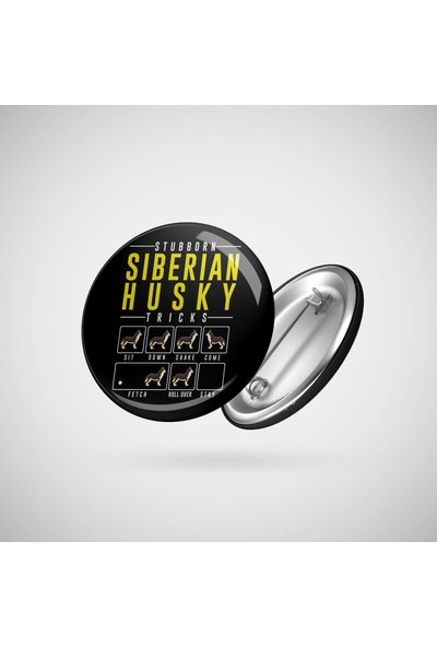 Fizello Stubborn Siberian Husky Tricks Rozet Fizello Stubborn Siberian Husky Tricks Rozet