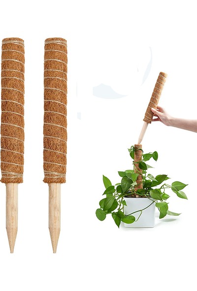 Bahçem Koko Sarmaşık Bitki Destek Çubuğu 2 Adet 40CM Bahçem Koko Sarmaşık Bitki Destek Çubuğu 2 Adet 40CM