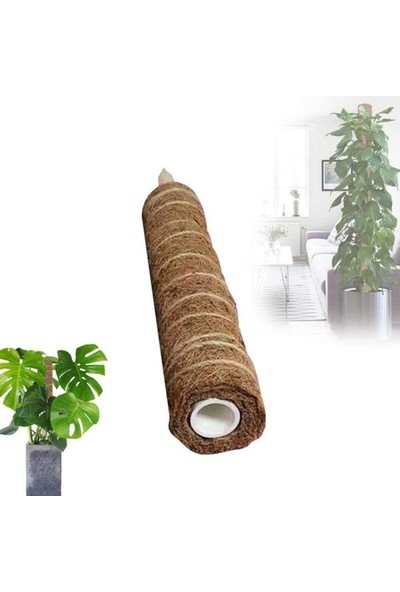 Bahçem Koko Sarmaşık Bitki Destek Çubuğu 90CM Bahçem Koko Sarmaşık Bitki Destek Çubuğu 90CM