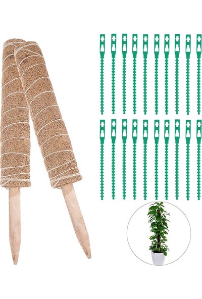 Bahçem Koko Sarmaşık Destek Çubuğu 2 Adet 40 Cm+50 'li Bağlama Klipsi