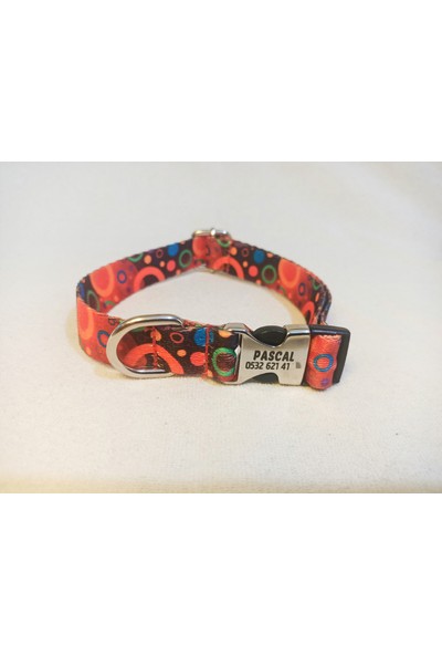 Pet Love Forever İsimli Köpek Tasması- Renkli Köpek Boyun Tasması 30-50 cm M Pet Love Forever İsimli Köpek Tasması- Renkli Köpek Boyun Tasması 30-50 cm M