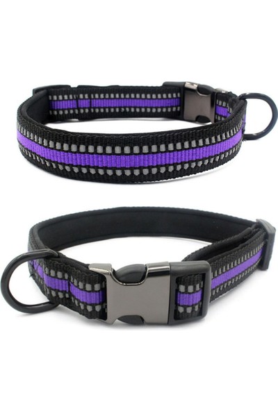 Mixpet Reflektörlü Küçük Irk Köpek Boyun Tasması Small 2 cm 27 - 40 cm Mor