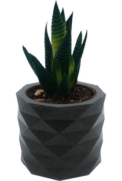 Lal Beton Saksı Desenli Silindir - Siyah