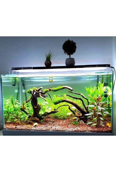 Armatürk Akvaryum Armatürü 60 cm