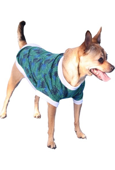Falpaw Kedi Köpek Kıyafeti Tropikal Tshirt Falpaw Kedi Köpek Kıyafeti Tropikal Tshirt