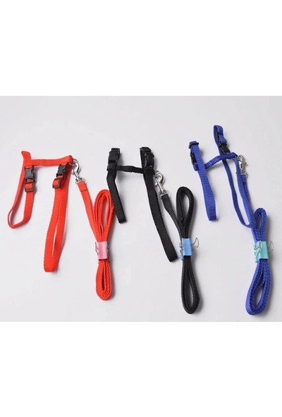 Kastore Ayarlanabilir Kedi Tasması 120 cm 4'lü