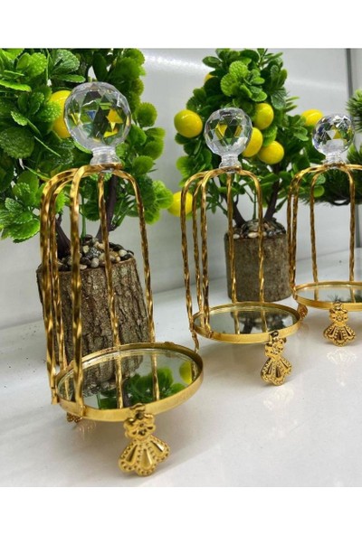 Gold Home Kafes Lokumluk Mini