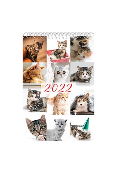 Naturel Basım 2022-33 x 38 cm Kedi Konseptli Duvar Takvimi Naturel Basım 2022-33 x 38 cm Kedi Konseptli Duvar Takvimi