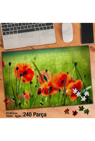 Asilmeydan Asil Hobi Yeşil Otlar Arasında Kırmızı Çiçek -Doğa Yapboz - Ayak Destekli Çerçeveli 240 Parça Puzzle Asilmeydan Asil Hobi Yeşil Otlar Arasında Kırmızı Çiçek -Doğa Yapboz - Ayak Destekli Çerçeveli 240 Parça Puzzle