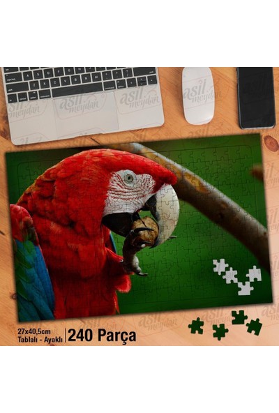 Asilmeydan Asil Hobi Papağan - Scarlet Amerika Papağanı - Kuş Yapboz -Ayak Destekli Çerçeveli 240 Parça Puzzle Asilmeydan Asil Hobi Papağan - Scarlet Amerika Papağanı - Kuş Yapboz -Ayak Destekli Çerçeveli 240 Parça Puzzle