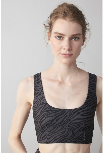 Penti Çok Renkli Zebra Printed Crop Üst Penti Çok Renkli Zebra Printed Crop Üst
