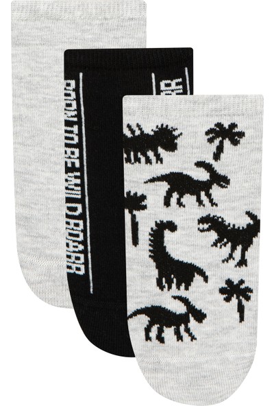 Penti Çok Renkli Wild Dino 3lü Patik Çorap Penti Çok Renkli Wild Dino 3lü Patik Çorap