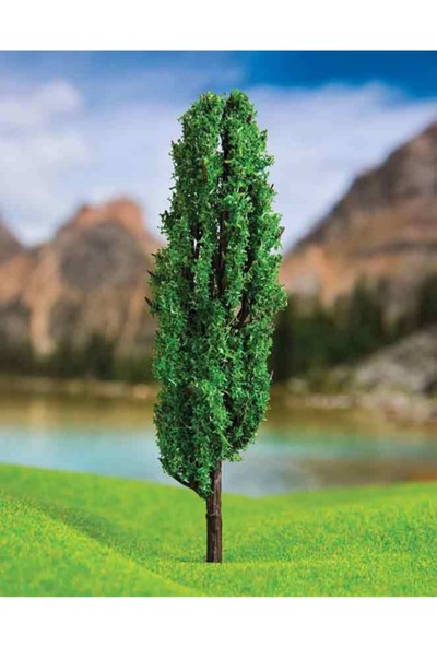 Eshel Kızılçam Ağacı --3,5 Cm--3 Lü