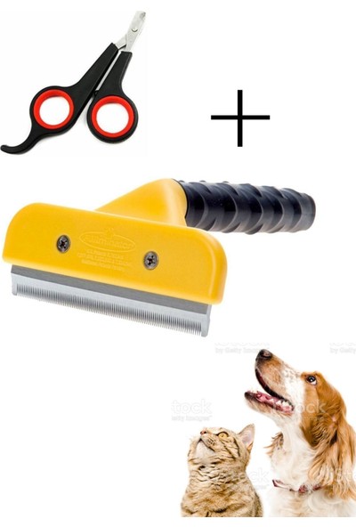 Dream Plus Furminatör Tüy Toplayıcı Kedi Tarak ve Tırnak Makasın Set 2