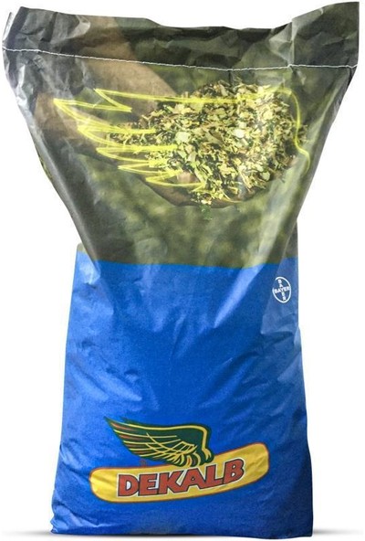 Dekalp Dekalb C 955 Slaj Mısır Tohumu 50,000 Adet
