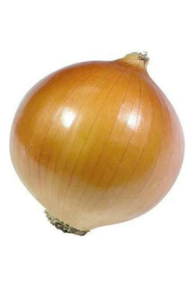 Tohum Dünyam Süper Paket 2500 Adet Tohum Ithal Kışlık Soğan Tohumua