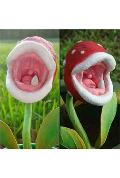 Tohum Dünyam Etçil Etobur Sinek Kapan Bitkisi Tohumu 5 Adet Tohum Tohum Dünyam Etçil Etobur Sinek Kapan Bitkisi Tohumu 5 Adet Tohum