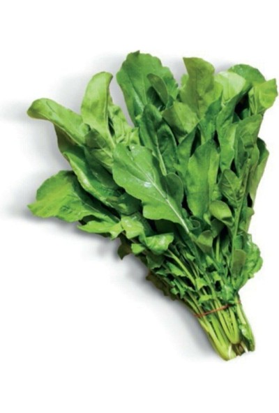 Tohum Dünyam Geleneksel Roka Tohumu 100 Adet Tohum Sebze Tohumu Tohum Dünyam Geleneksel Roka Tohumu 100 Adet Tohum Sebze Tohumu