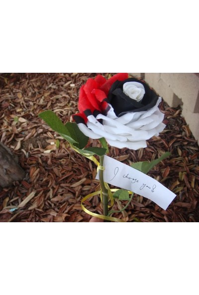 Tohum Dünyam 5 Adet Siyah Inci Gül Tohumu