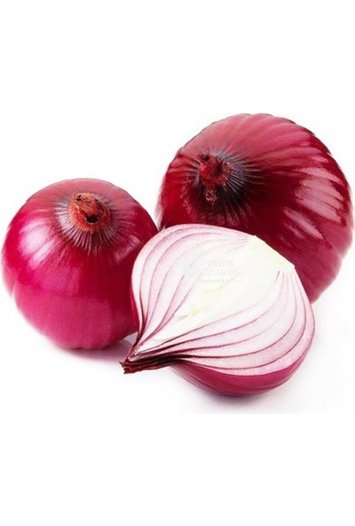 Tohum Dünyam Nadir Ithal Mor Soğan Tohumu 100 Adet Tohum Tohum Dünyam Nadir Ithal Mor Soğan Tohumu 100 Adet Tohum