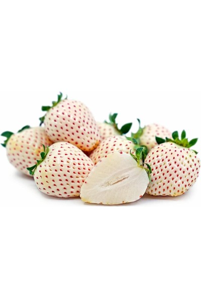 Tohum Dünyam 20 Adet Beyaz Çilek Tohumu